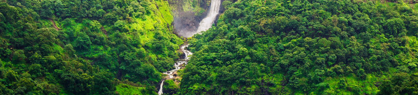 15 Waterfalls in Lonavala Not To Be Missed In 2026!