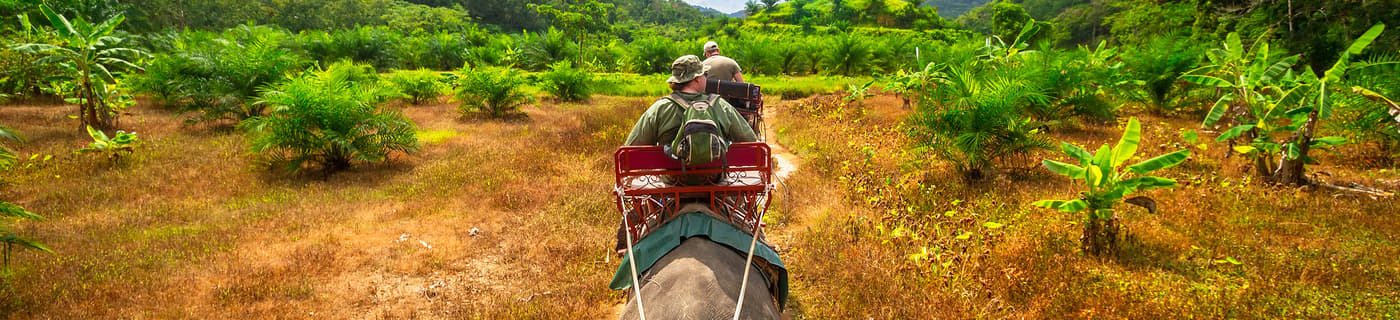 8 National Parks in Phuket: Witness Wildlife At It's Best!