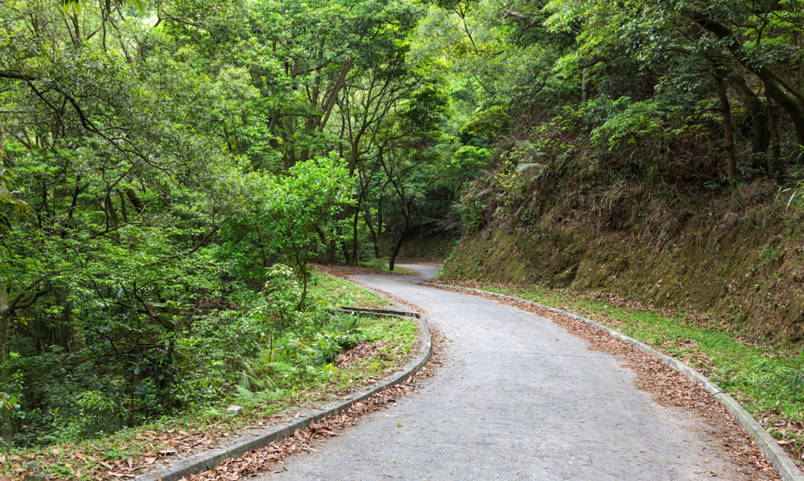 30 Trails For Hiking in Hong Kong- Explore Adventurous Paths!