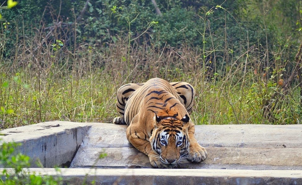 25 Places to Visit in Alwar, Tourist Places & Top Attractions