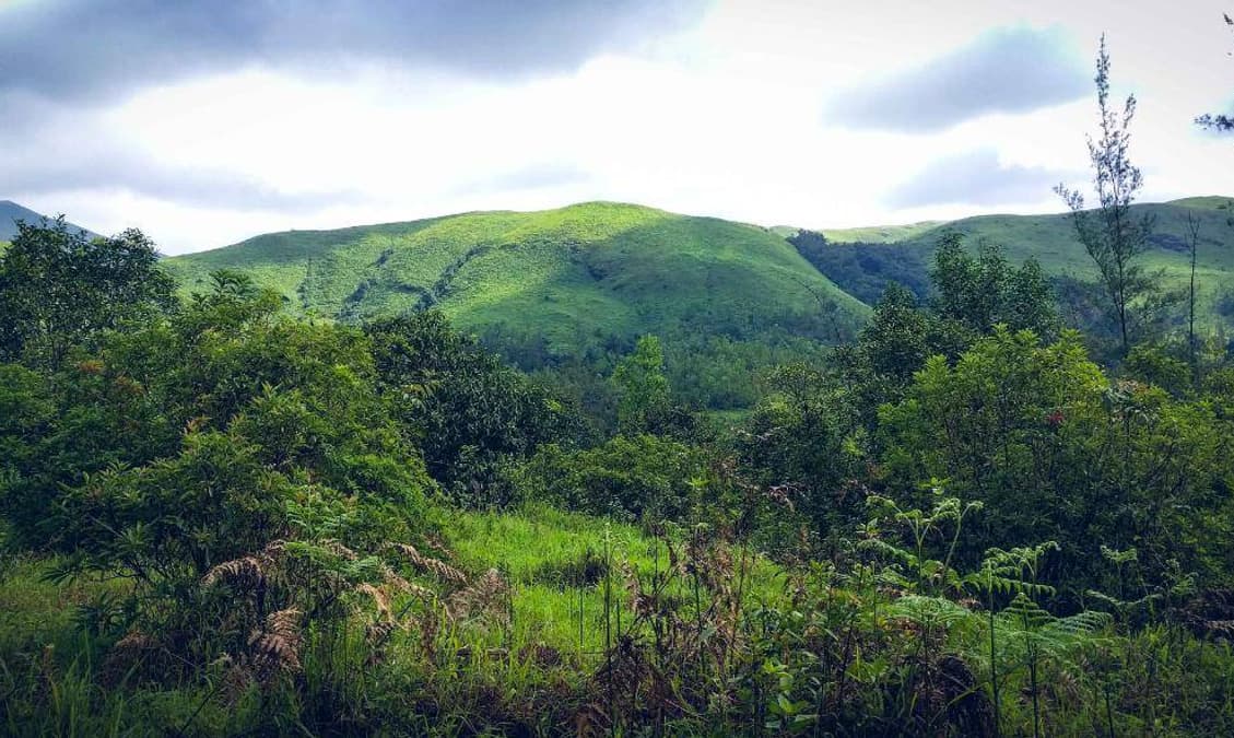 35 Places to Visit in Chikmagalur - 2024 Updated List & Photos