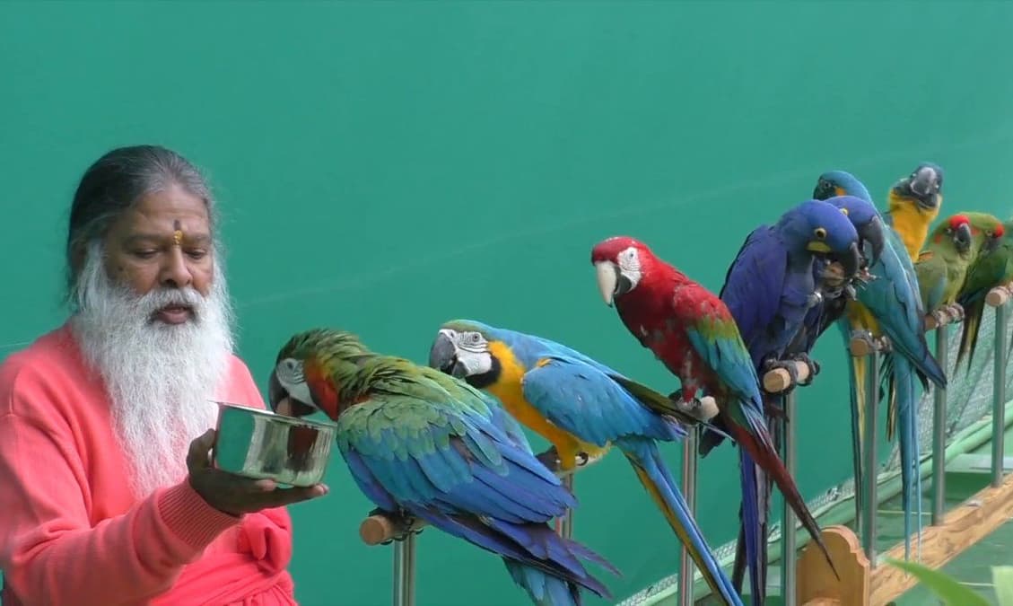 35 Places to Visit in Mysore, Tourist Places & Top Attractions