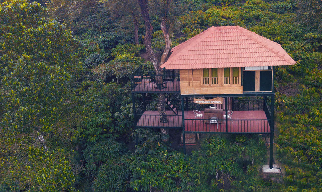 15 Resorts in Kalpetta in 2026 (Location, Amenities & Price)