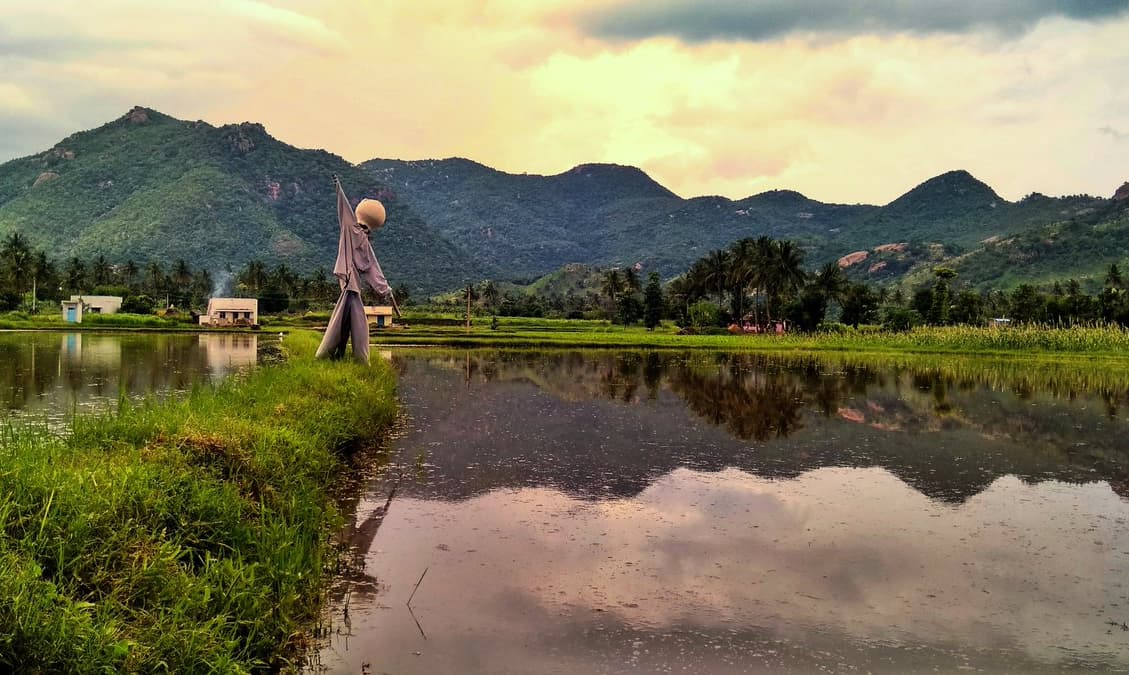 25 Places to Visit in Yelagiri 2023, Tourist Places & Attractions