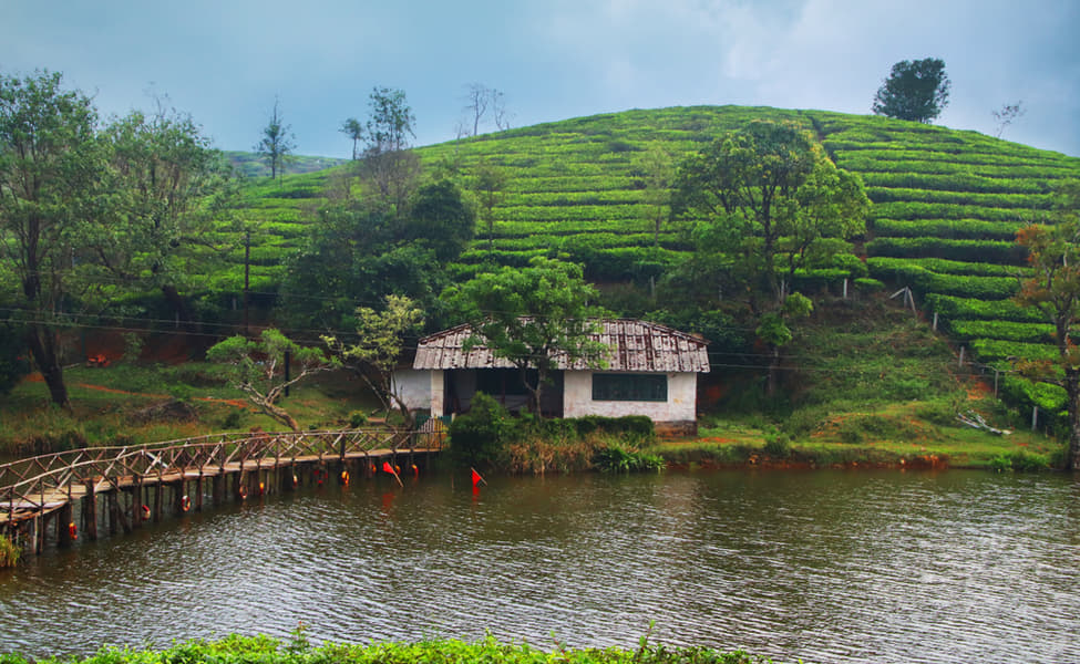 Vagamon Tourism, India: Places, Best Time & Travel Guides 2023