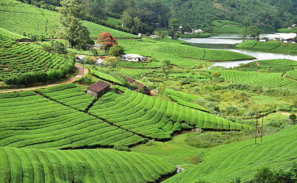Theni Tourism, India: Places, Best Time & Travel Guides 2023