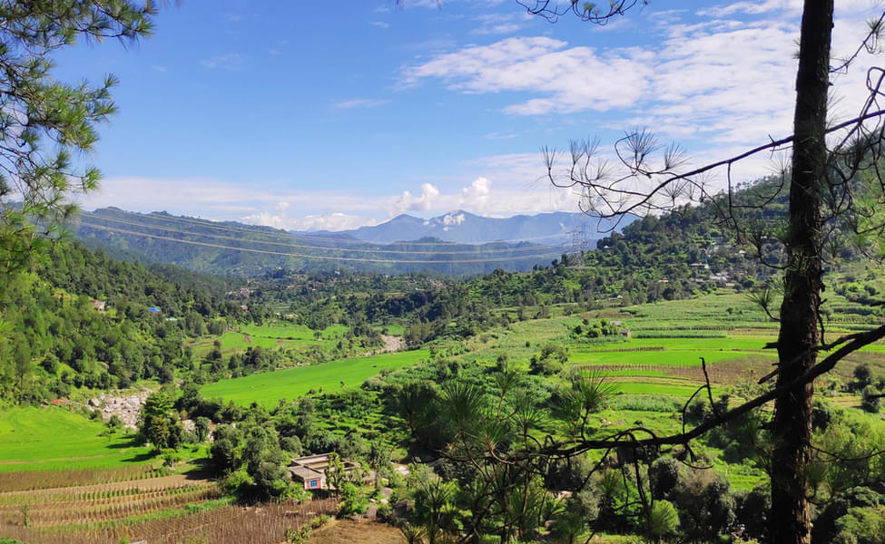 15 Places to Visit in Chail, Tourist Places & Top Attractions