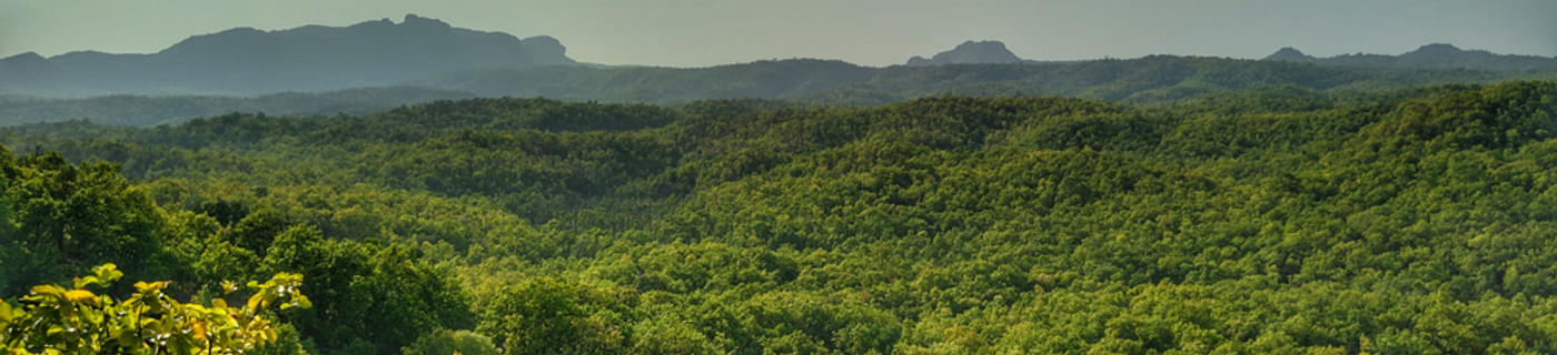 20 Places to Visit in Pachmarhi, Tourist Places & Attractions