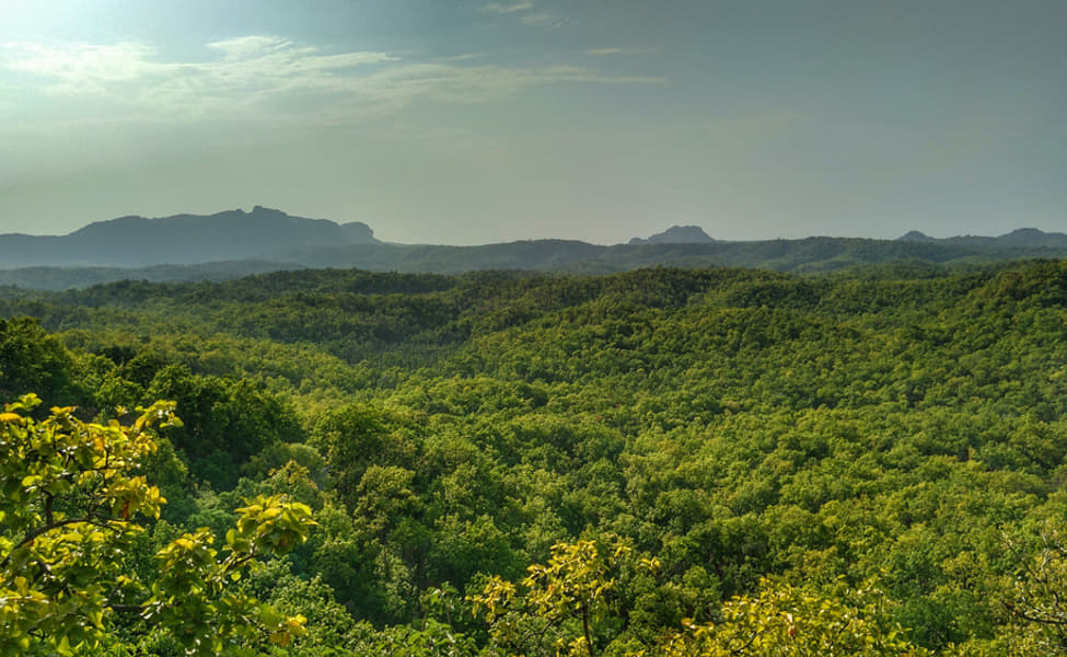20 Places to Visit in Pachmarhi, Tourist Places & Attractions