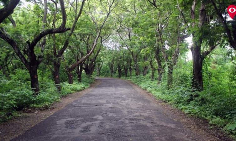 20 Haunted Places In Mumbai That You Must Not Visit Alone