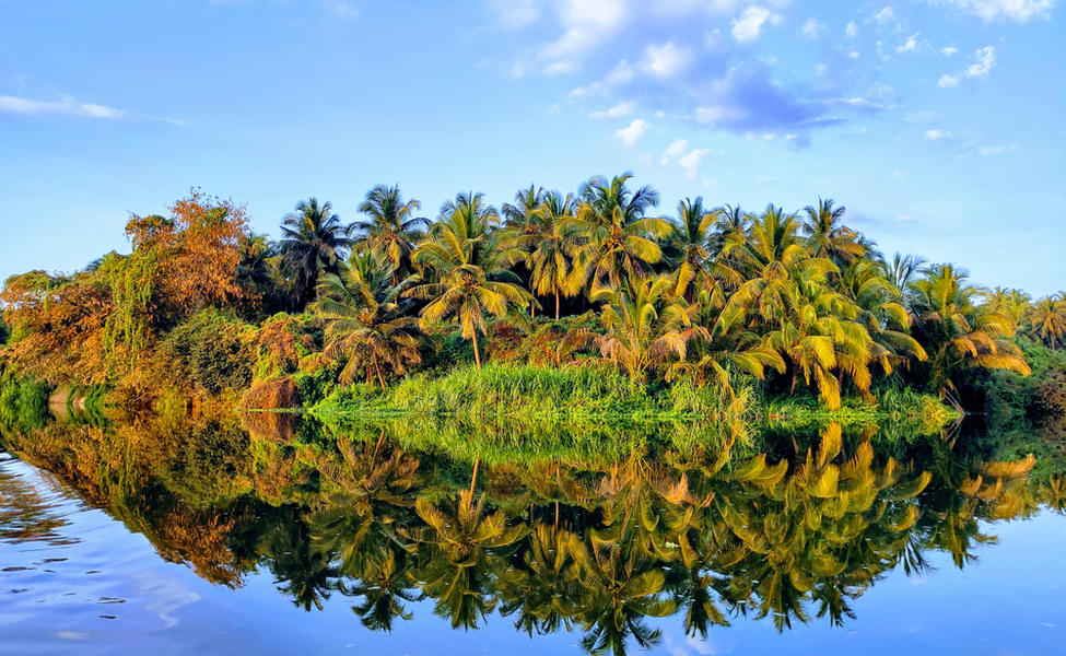 Pollachi Tourism, India: Places, Best Time & Travel Guides 2023