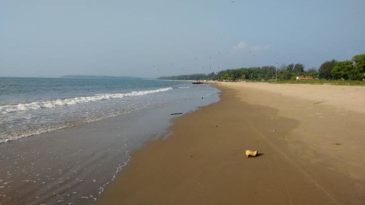15 Beaches Near Pune Within 200km For Your Next Road Trip