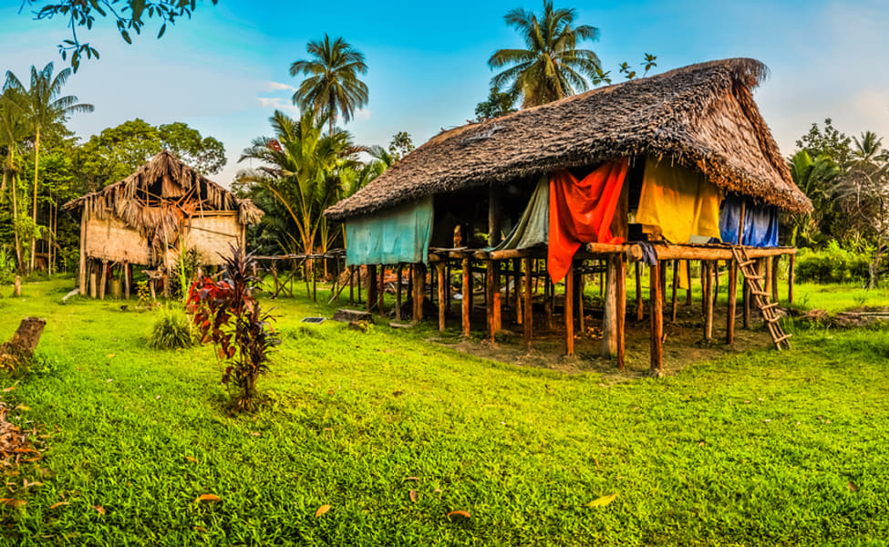 2 Places to Visit in Papua, Tourist Places & Top Attractions