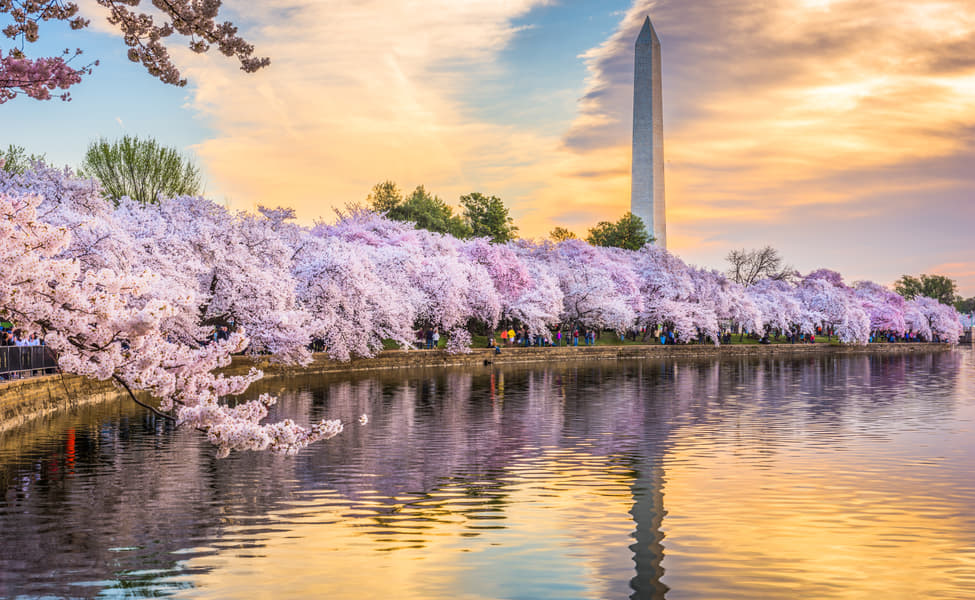 41 Places to Visit in Washington D.C. & Top Tourist Places