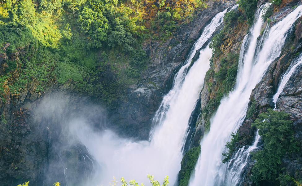 10 Places to Visit in Jawhar, Tourist Places & Top Attractions