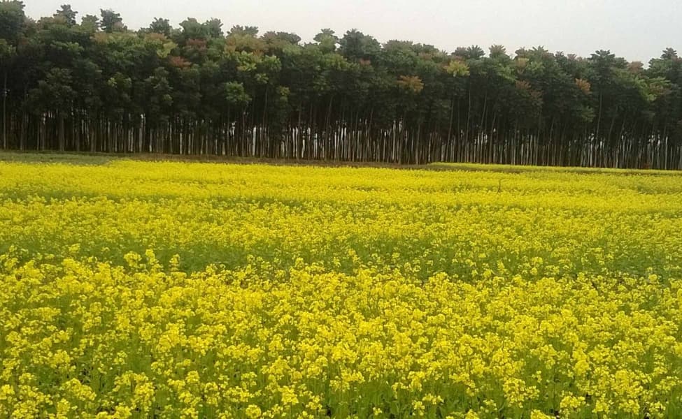 3 Places to Visit in Terai, Tourist Places & Top Attractions