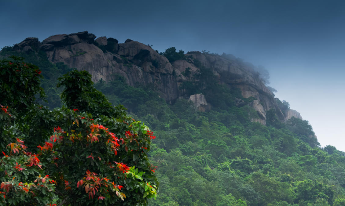 15 Hill Stations near Kolkata 2025: Distance & Best Time