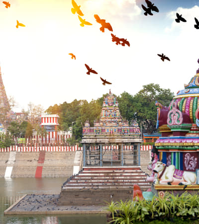 Tada Waterfall Trek With Camping 25% Off