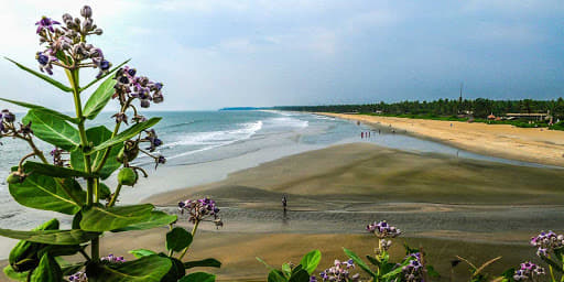 Kannur Tourism, India: Places, Best Time & Travel Guides 2023