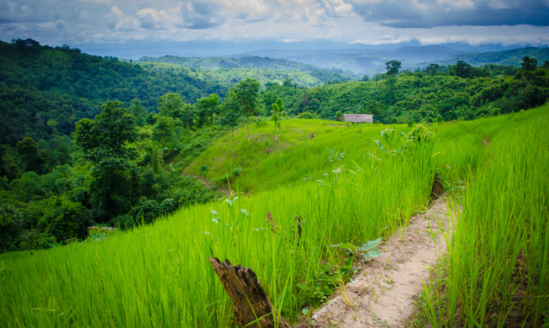 10 Hill Stations in Assam : 2024 Updated