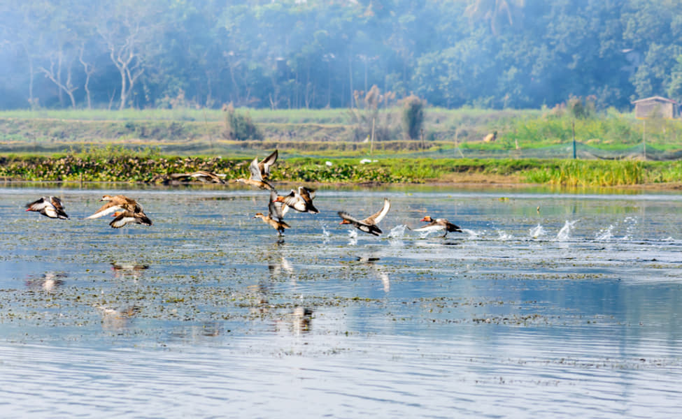 Nellore Tourism, India: Places, Best Time & Travel Guides 2023