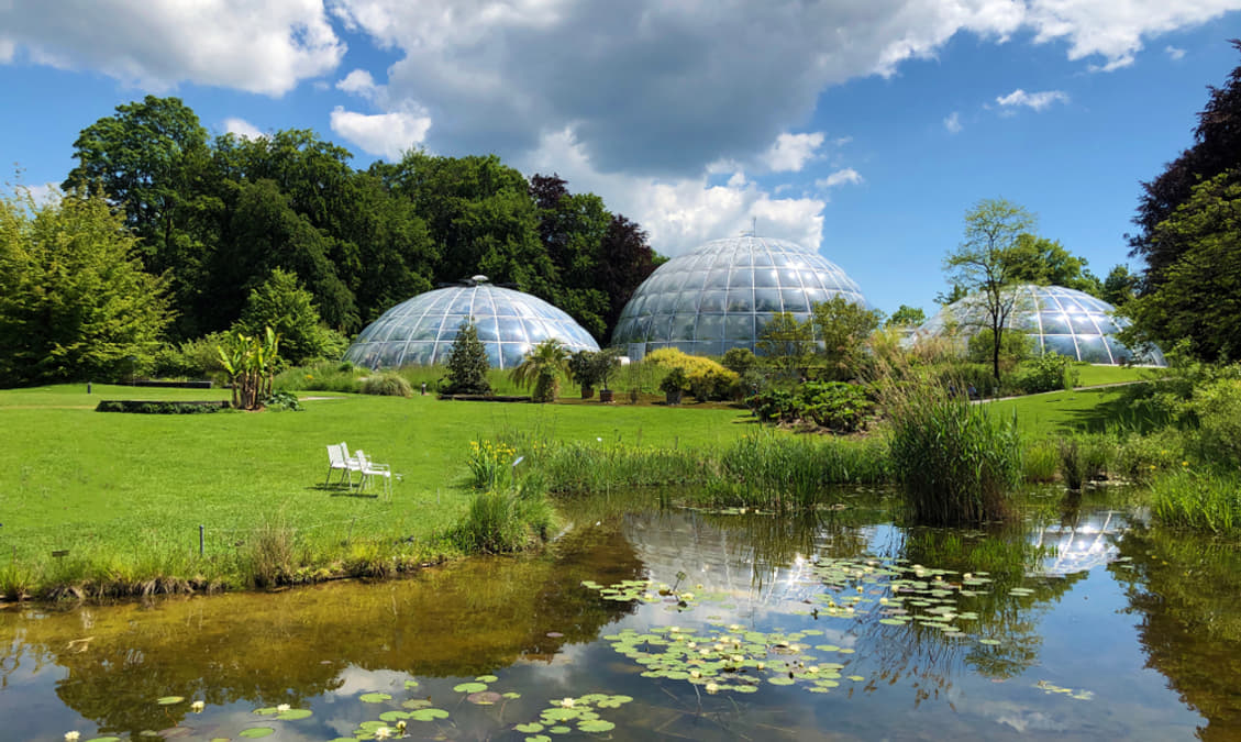 15 Free Things To Do In Zurich 2025 (Updated List)