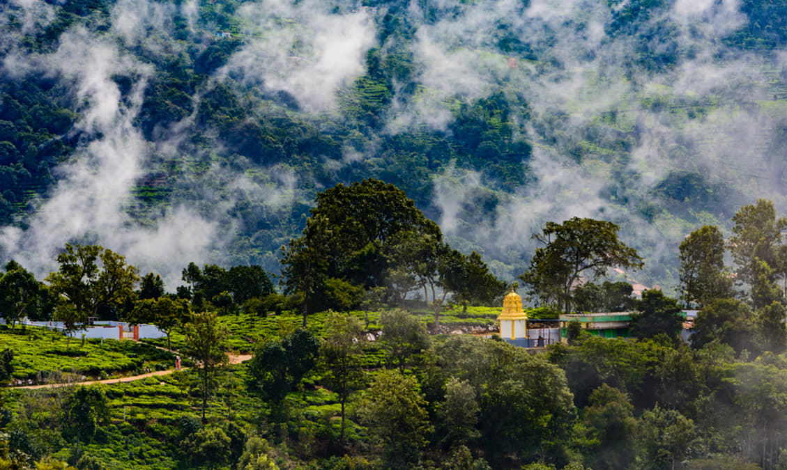 10 Hill Stations near Vellore: 2026 Updated