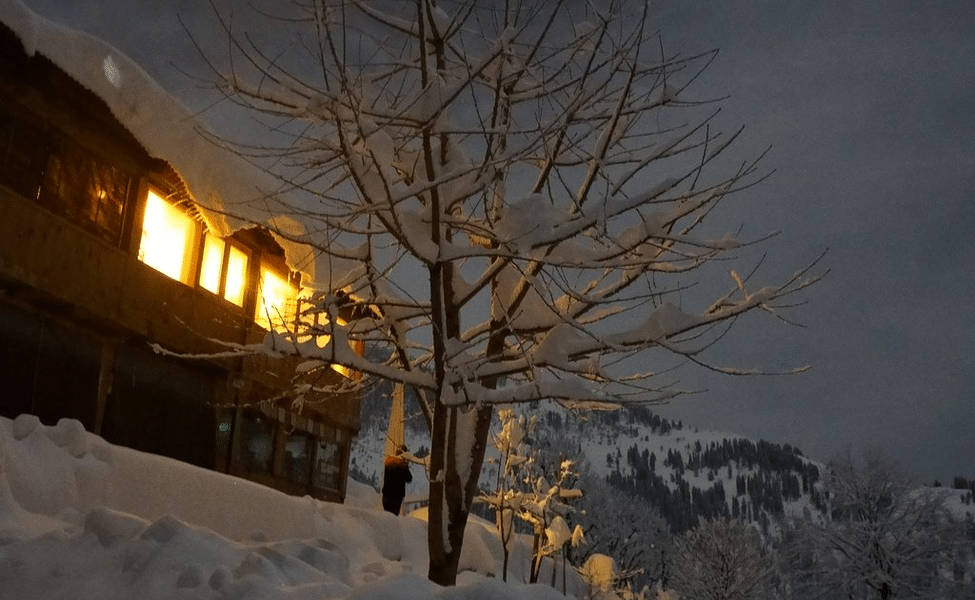 Rustic Bunk Bed Stay In Manali Staycation