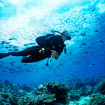 5 Resorts in Topslip, Book Now & Get Upto 50% Off