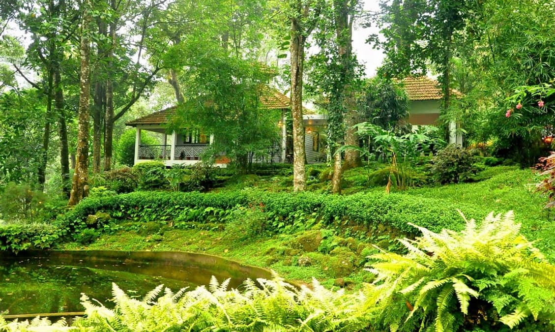 35 Homestays in Munnar | Upto 50% Off on Munnar Homestays