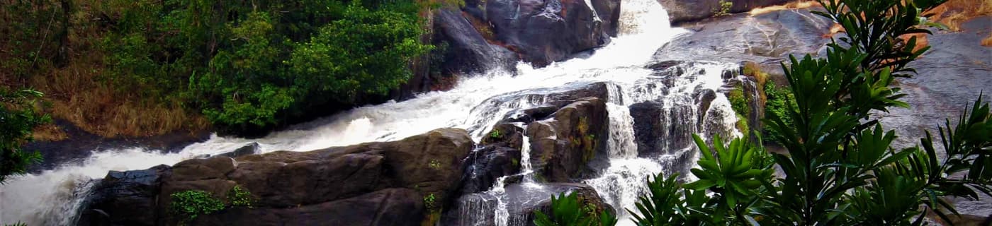 7 Waterfalls in Wayanad You Won't Want to Miss in 2025