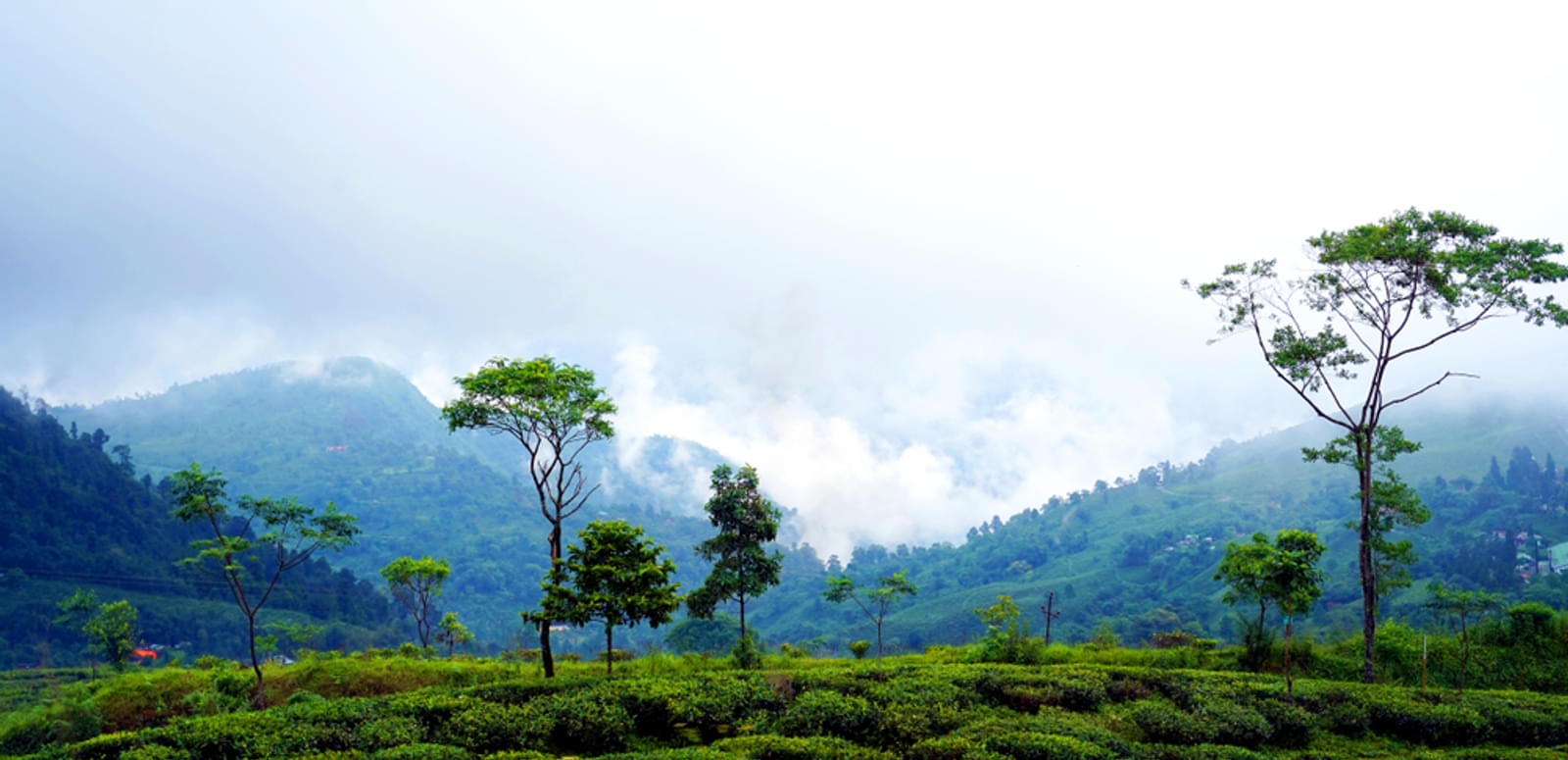 Dooars Sightseeing Tour Flat 14% Off