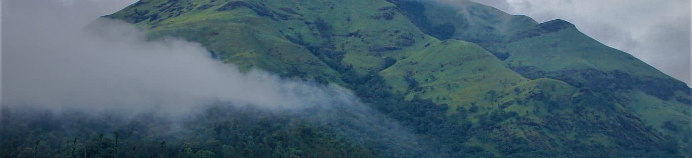 10 Places to Visit in Vythiri For A Fun Trip in 2025