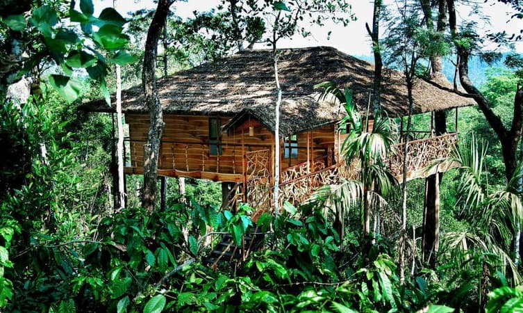 35 Homestays in Munnar | Upto 50% Off on Munnar Homestays