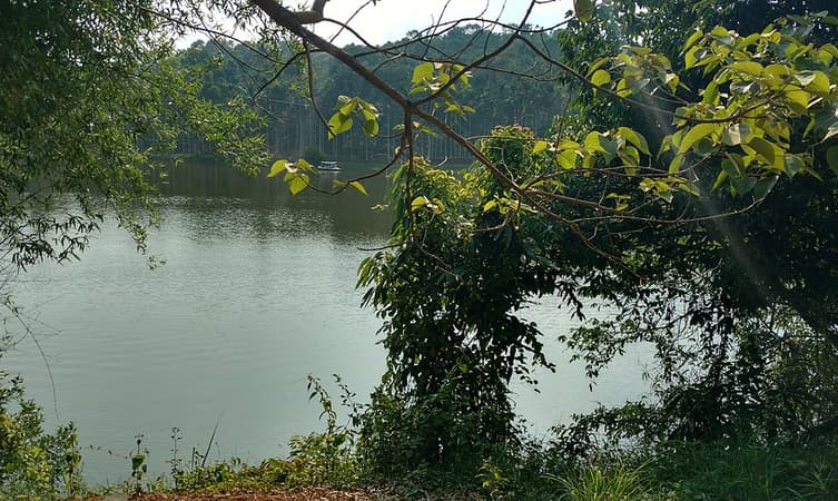 10 Places to Visit in Vythiri For A Fun Trip in 2026