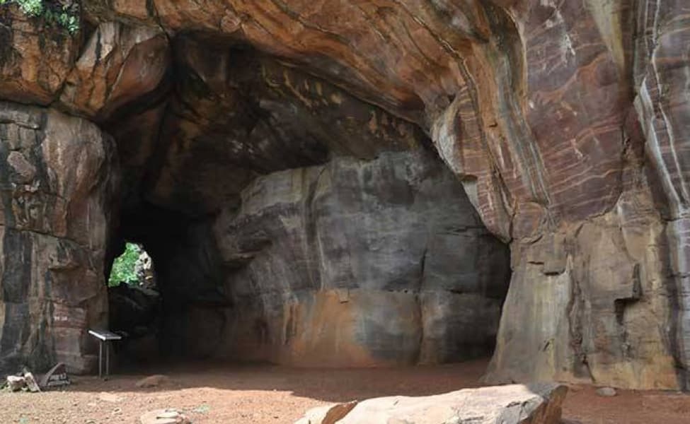 Delawadi Tiger Resort Stay | Book Now @ Flat 45% Off