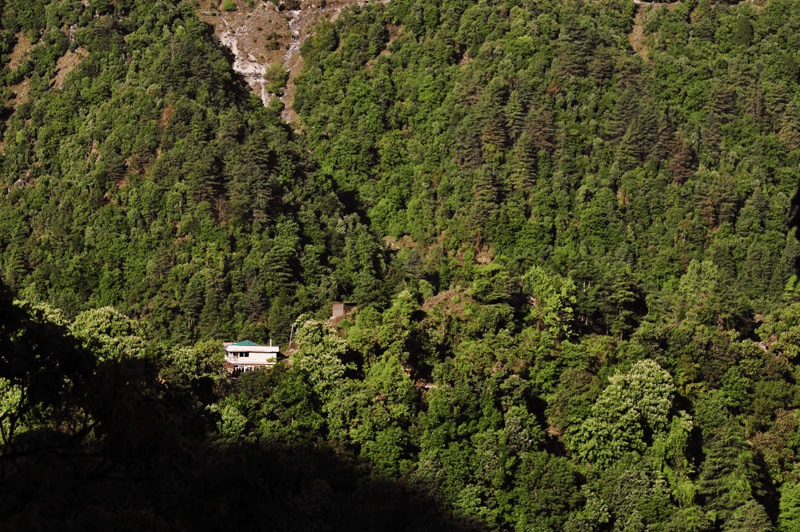 20 Homestays in Mussoorie | Book Now & Get Upto 50% Off