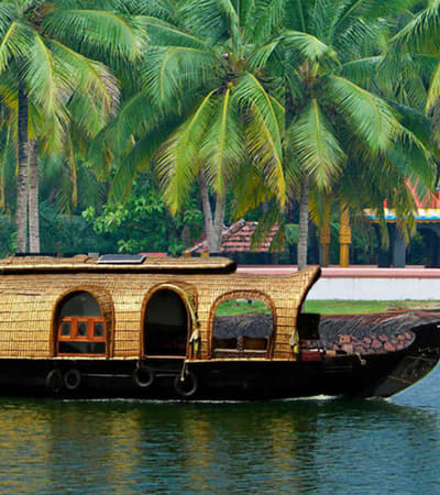 Kochi Backwater Tour I Book Online & Save 28%