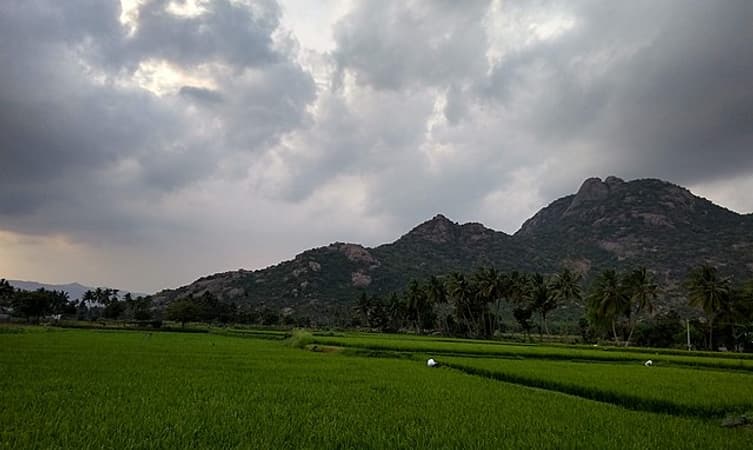 15 Hill Stations in Tamil Nadu 2025: Updated With Distance