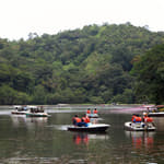 20 Places to Visit in Dandeli, Tourist Places & Top Attractions