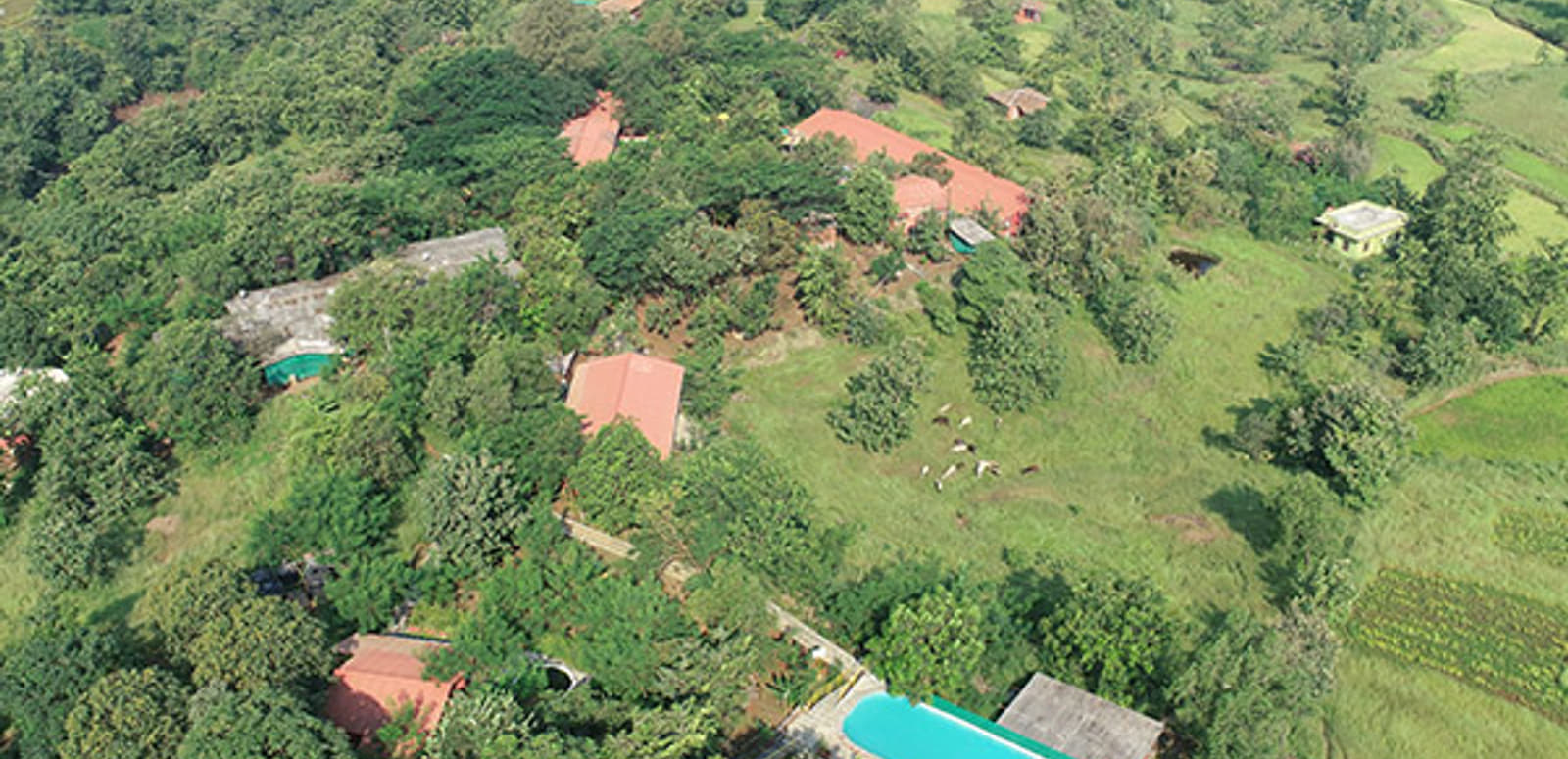 Wild Camp Resort Khodala Stay