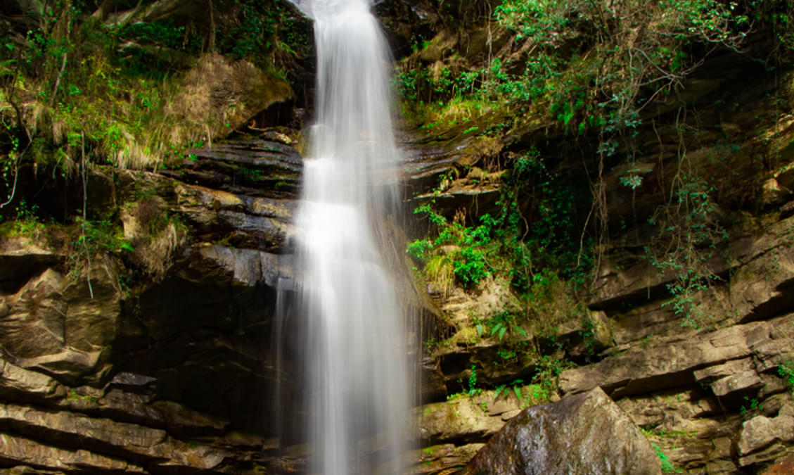 10 Waterfalls in Nainital: 2025 (Location & Best time to Visit)