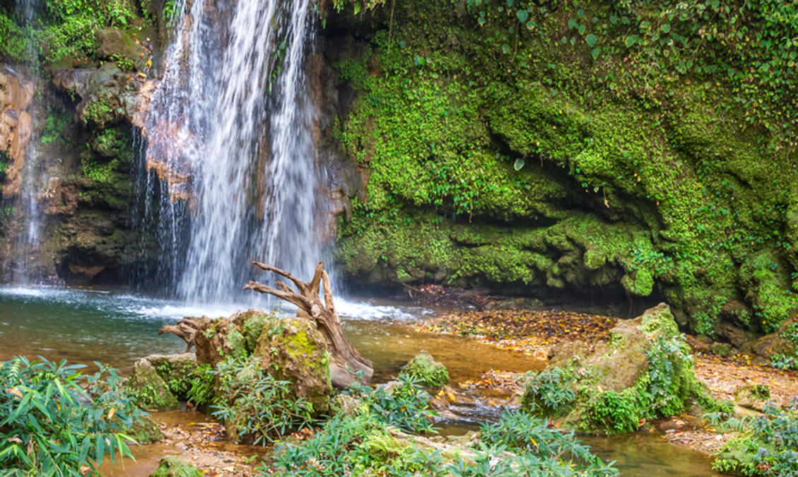 10 Waterfalls in Nainital: 2025 (Location & Best time to Visit)