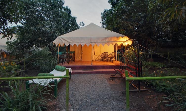 20 Resorts In Sasan Gir, Book NOW & Get Upto 50% Off