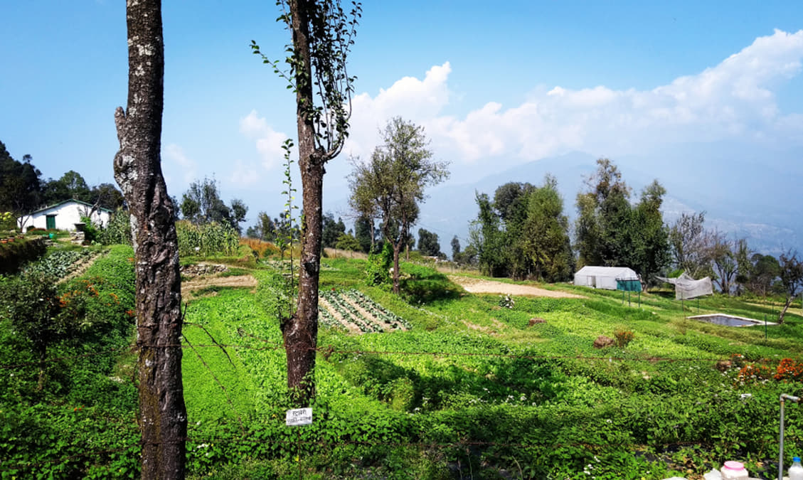 10 Things to Do in Kausani: 2025 (Updated with Photos)