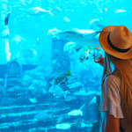 10 Warner Bros Movie World Rides That You Must Try!