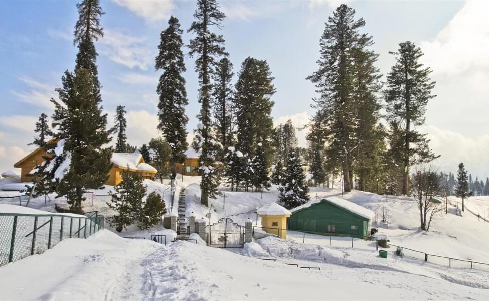 Enthralling Getaway With Adventure Activities, Patnitop | Tour Package