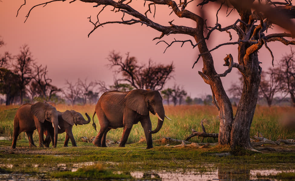 7 Places to Visit in Botswana, Tourist Places & Top Attractions