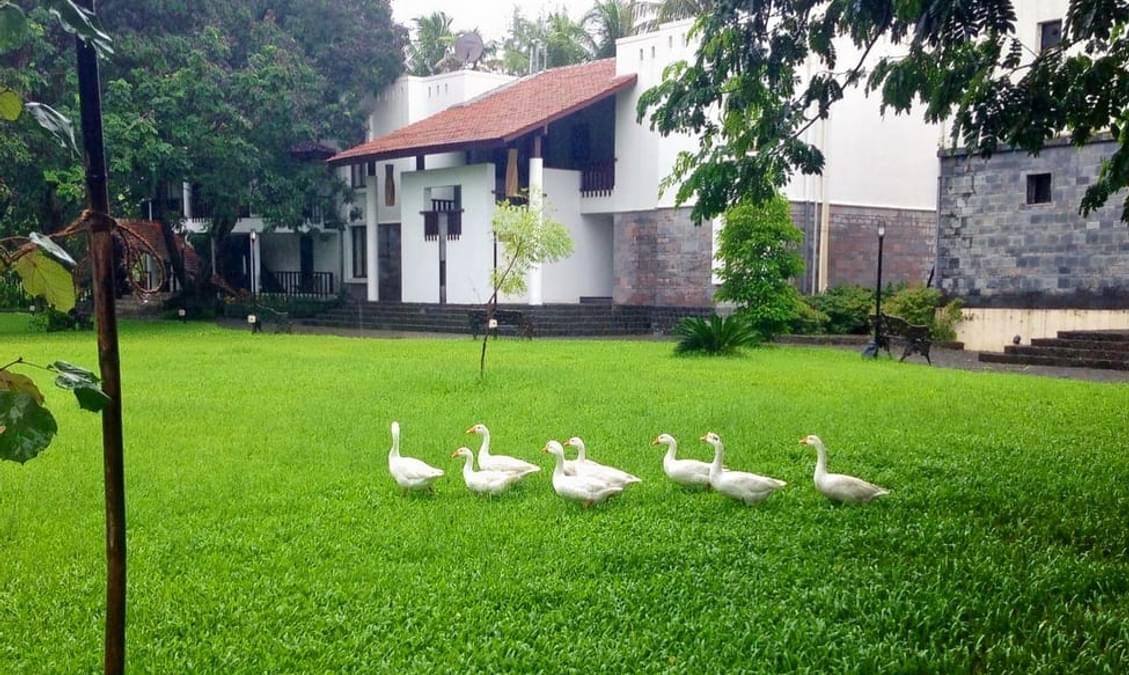 10 Resorts in Saphale: Upto 50% OFF on Saphale Resorts