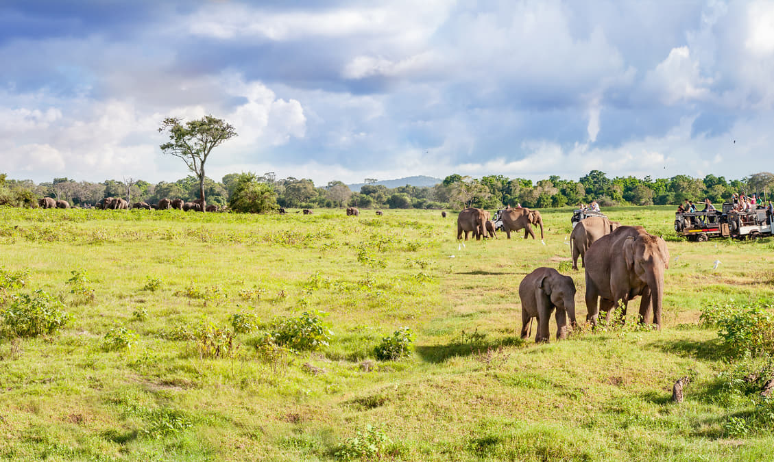 50 Places to Visit in Kenya, Tourist Places & Top Attractions